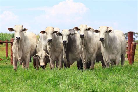 Natureza Portugal Easycamp