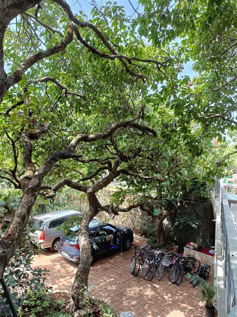 Advait Resort Updated 2025 Prices Reviews And Photos