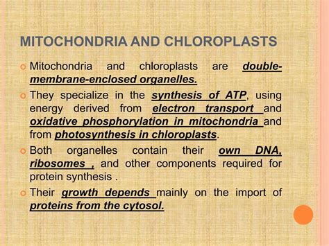 Protein Sorting And Targeting Pptx