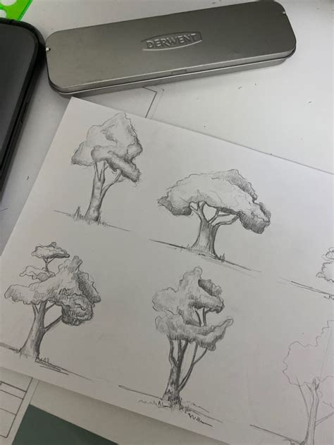 Pencil Drawing Trees Sketch