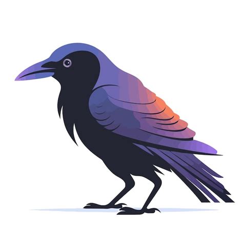 까마귀 이미지 흰색 배경에 고립 된 귀여운 까마귀 까마귀 벡터 일러스트 레이 션의 그림 프리미엄 벡터