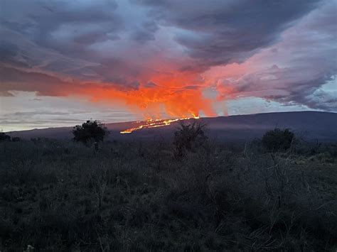 Leading Edge Of Mauna Loa Lava Flow Crosses Old Kona Highway Maui Now
