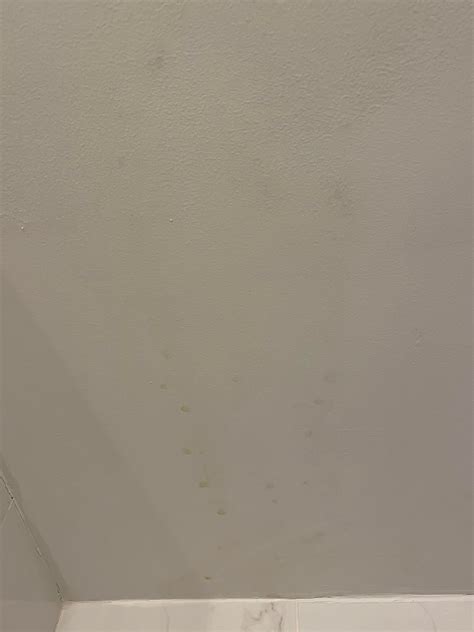 Bathroom Ceiling Discoloration Rhomemaintenance