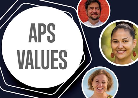 Aps Values Employment Principles And Code Of Conduct Promotional