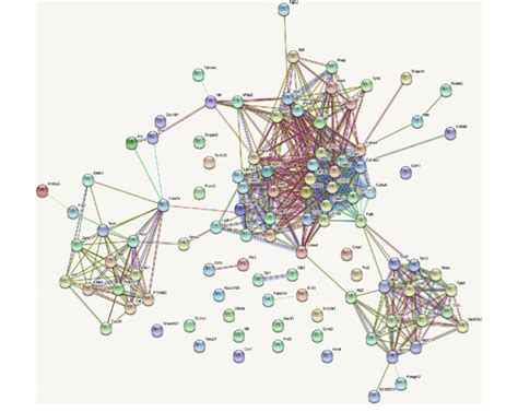 Proteomics Proteomic Analysis Of The Scaffold Obtained After