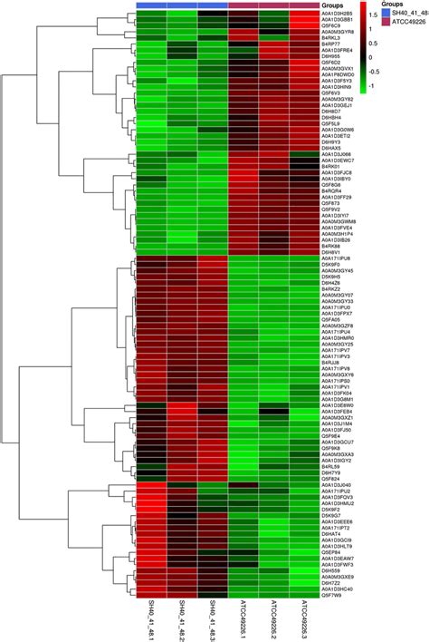 Heirarchical Clustering Analysis Of 96 Differentially Expressed