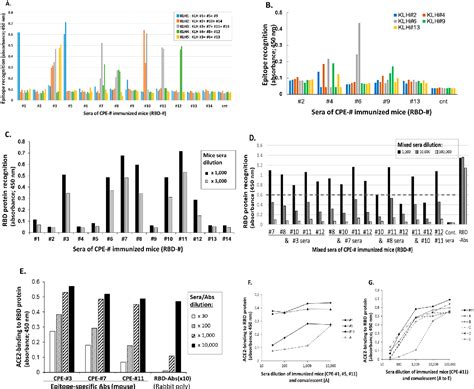 Figure 1 From Identification Of Closed Linear Epitopes In S1 Rbd And S2