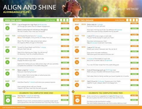 Align And Shine Dailey Challenges Dailey Method Alignment Dailey