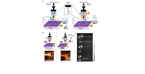 Machine Learning Metrology Of Cell Confinement Three Dimensional Biomaterial Substrates