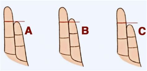 Visual Test The Size Of Your Little Finger Will Tell You What Your