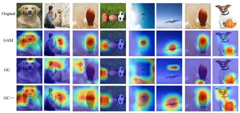 each pair of rows presents saliency maps produced by gam gc and gc