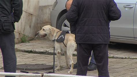 Утрово дојава за бомба и во градинка во Скопје Сител Телевизија