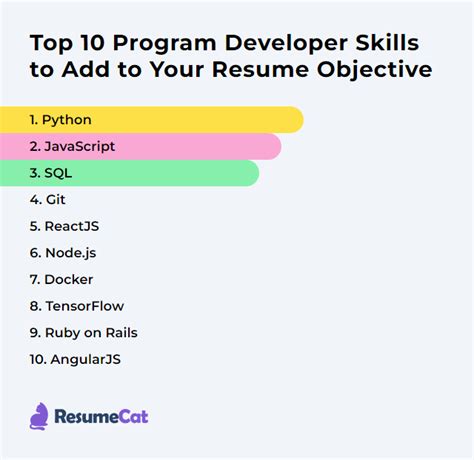Top 17 Program Developer Resume Objective Examples