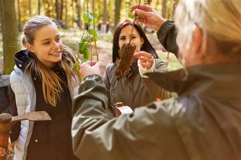 Science Identifying Trees Collins