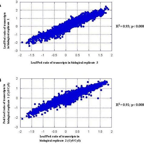 The Correlation Of Normalized Ratios Between Biological Replicates And