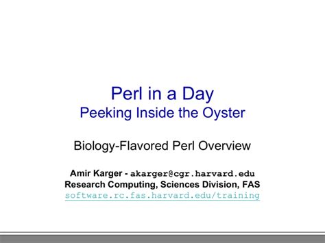 PowerPoint Presentation Perl In A Day
