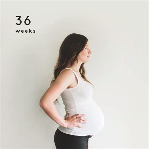 Pregnancy Transformation Week By Week Belly Growth Artofit