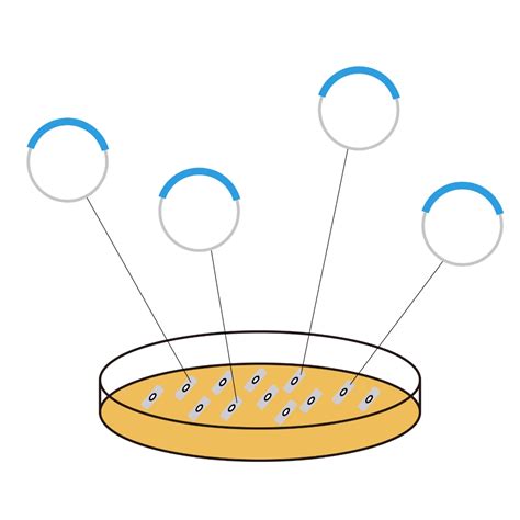 vector guides vectorbuilder s learning center