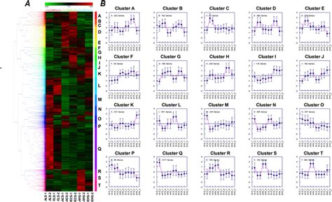 Hierarchical Document Clusters A And Their Corresponding Expression