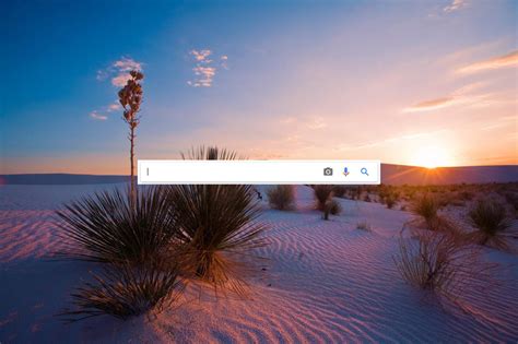 Exploring The Meaning Of Bokeh