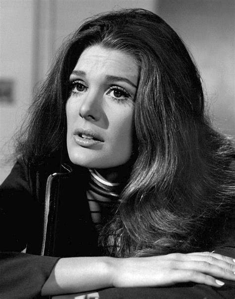 Carla Borelli Wikipedia