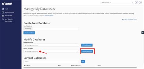 How To Repair Mysql Database In Cpanel Ipserverone