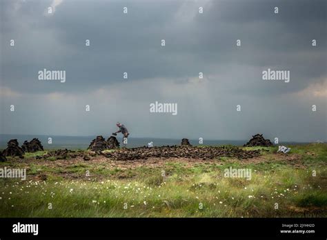 Making A Good Turf Stack Is Important To Allow The Turf To Dry Properly Stock Photo Alamy
