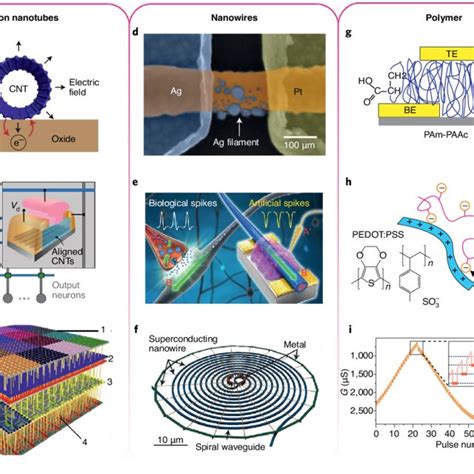 Synaptic Transistors And Memristive Systems A Schematic Of An Download Scientific Diagram