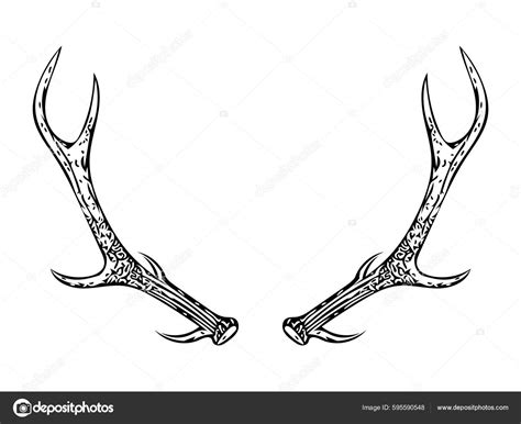 How To Draw Deer With Antlers