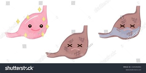 Cute Stomach Character Illustration Set Stock Vector Royalty Free