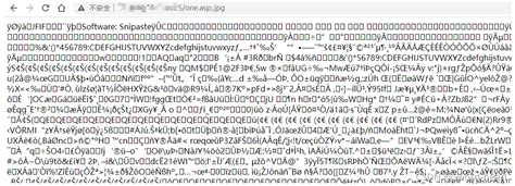 iis漏洞 解析漏洞 iis解析漏洞 csdn博客