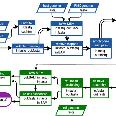 Customized Galaxy Workflow Used In The Current Study Double Arrows