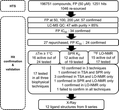 Of Hts Campaign And Hit Validation By Orthogonal Biophysical Download Scientific Diagram