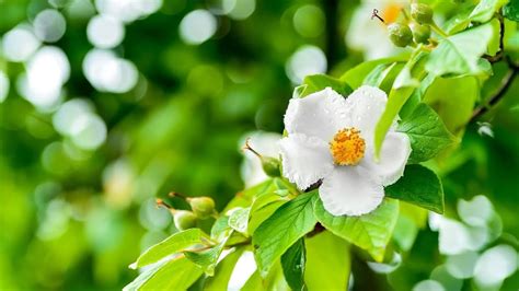 내 마음을 녹이는 뉴에이지 연주곡🌲하루10분 만병을 치료 해주는 힐링 명상 기치료 음악 및 영상 아침명상음악 아침음악 힐링음악 명상음악 스트레스해소음악