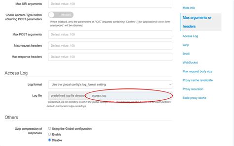 Configuring Gateway Access Log Files In Openresty Edge Openresty Official Blog