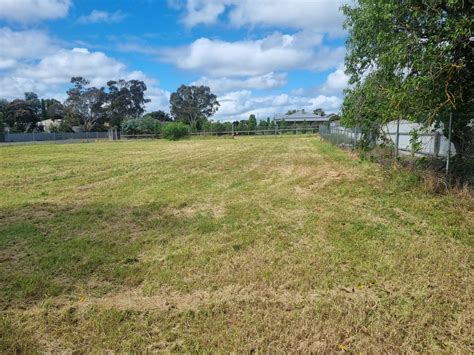 173 Mount Gambier Road Millicent Sa 5280 Domain