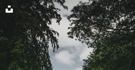 Thanks To Max Beck For Making This Photo Available Freely On Unsplash 🎁