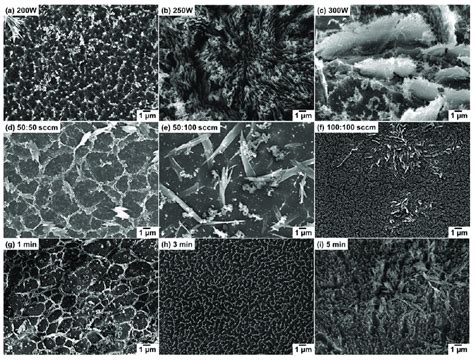 Secondary Electrons Se Sem Micrographs Of Carbon Structures After