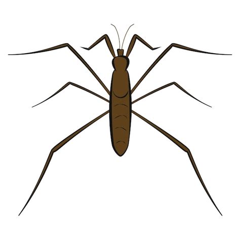 premium vector water strider vector icon
