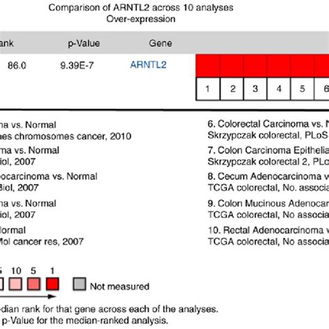 oncomine analysis of arntl2 mrna expression levels in the 10
