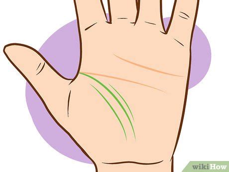 How To Read Palms A Complete Guide With Pictures