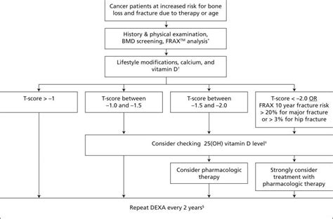 Nccn Task Force Report Bone Health In Cancer Care Pmc