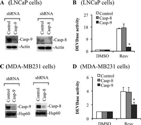 Bax Plays Prominent Role To Induce Cytochrome C Release Upon