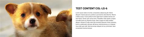 Html Bootstrap Background With Normal Container Stack Overflow