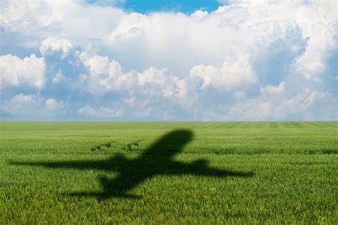How The Long Shadow Of Model Inputs Could Dilute The Ambition Of The
