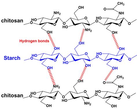 Recent Progress On The Application Of Chitosan Starch And Chitosan