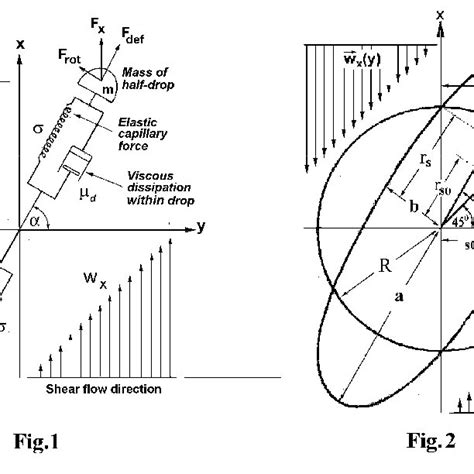 Schematic Drawing Of The Droplet Deformation In Shear Flows In The Download Scientific Diagram