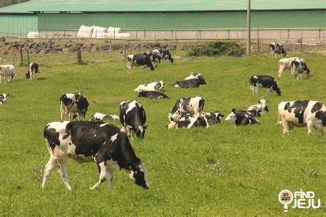 제주 한림 가볼만한곳 제주도 당일치기 서쪽 코스 Top5 네이버 포스트