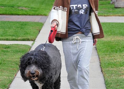 Signora Si Fa Scopare Dal Cane Ieri Pomeriggio Paura In Un Abitazione Di Legnaia Dopo Che Un