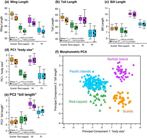 Analysis Of Morphometric Variation Illustrating The Distinctiveness Of Download Scientific